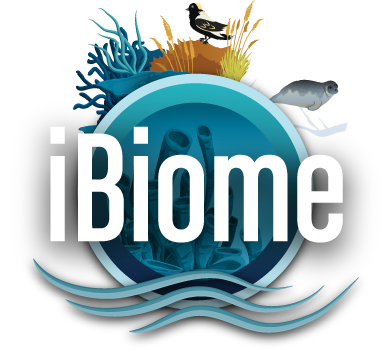 Blog | Environmental and Science Online Games | Spring Bay Studio